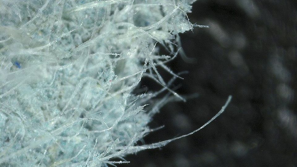 Fasern unter der Lupe | Chemie | SchuBu