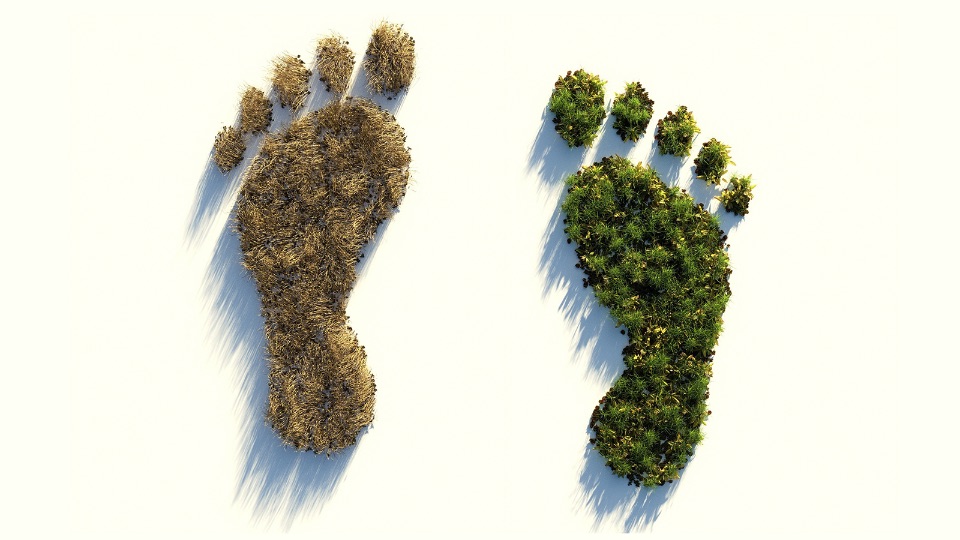 Sachtexte verstehen und zusammenfassen | Deutsch | SchuBu